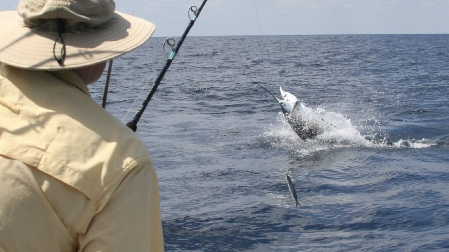 How to Catch Rare and Elusive Fish Species in 2023 - The Fishing Times ...